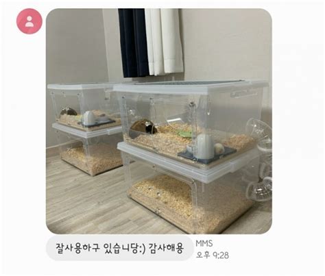 도치야매장 햄스터케이지 터널타공 햄스터케이지 비용 네이버 블로그
