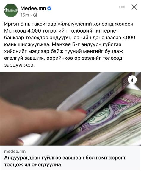 17 5 дугаар зүйл Алдаатай All I Need Is Law Not Love