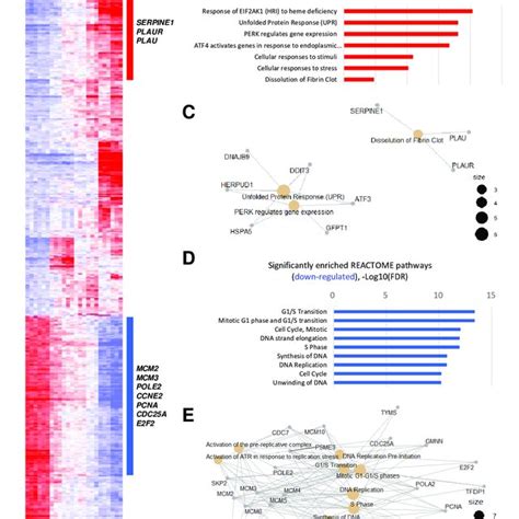 Microarray Gene Expression Profiling And Biological Pathways Related To