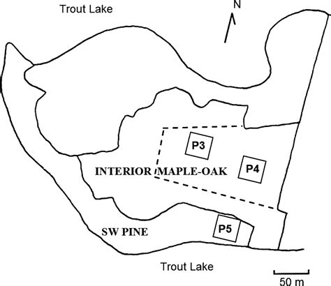 Surge In Regeneration Of Pinus Strobus L In Three Wisconsin Forests Not Projected By Past