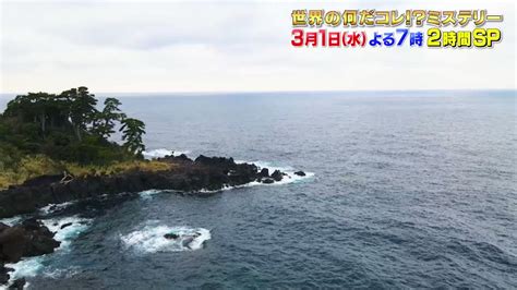 世界の何だコレ ミステリー公式 on Twitter 明日 水曜よる7時からは 何だコレミステリー 今話題の徳川家康 実は