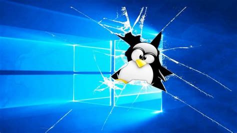 Linux Vs Windows Qual é O Melhor Sistema Operacional Media Manager