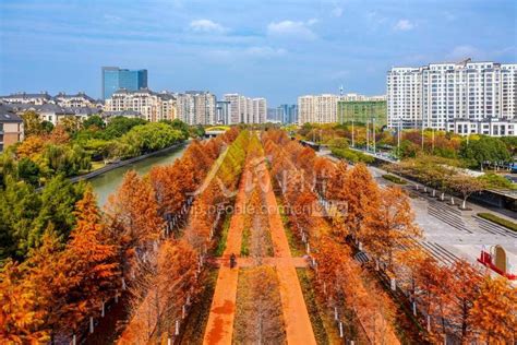 浙江宁波体育公园生态美 人民图片网