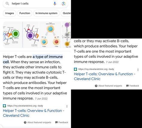However Its Possible That Im Wrong If Im Wrong Helper T Cells Will Have To Be Depleted Too