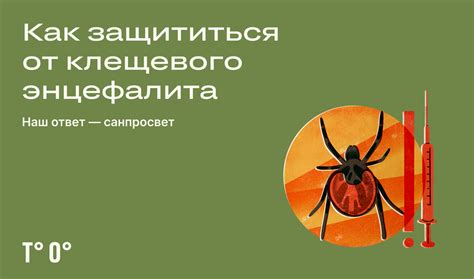 Как защититься от клещевого энцефалита — Трудовая оборона
