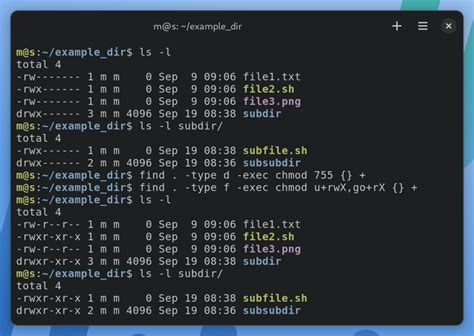 How To Use Chmod Recursive To Change File Permissions On Linux And MacOS