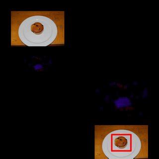 Diagram Showing The Model Pipeline Execution Download Scientific Diagram
