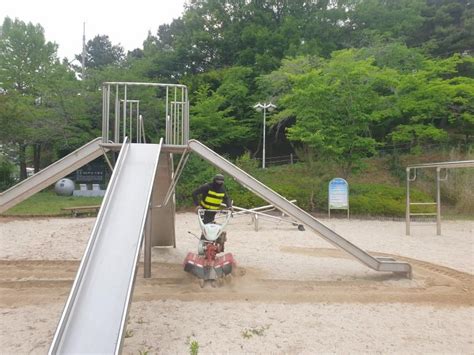 동명초등학교놀이터 모래소독 키제코 전국소독현황