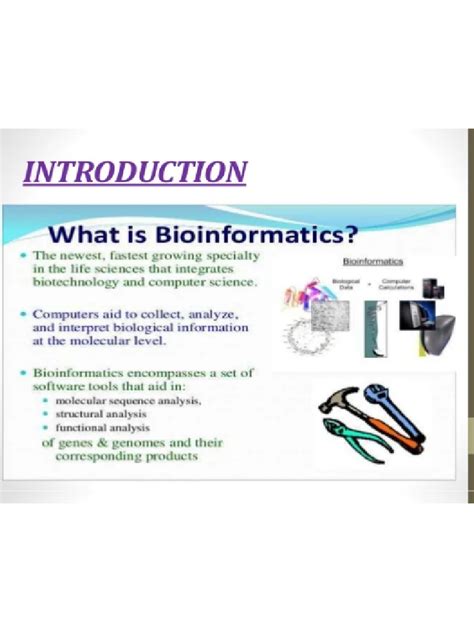 biological databases in bioinformatics pdf