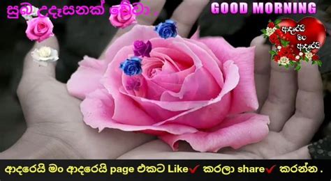 සුභ උදෑසනක් වේවා පින්බර සිතුවිලි වලින් සිත් පිරි සුන්දර සිතුවිලි වලින් දවස ගෙවන්නට ලැබේවා