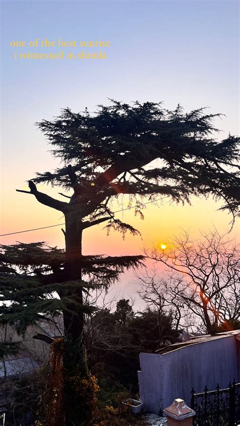 Mayuri Pawar Iammayuripawar On Threads