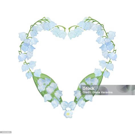 백합 의 계곡 꽃 심장 조성물 봄과 행복의 상징 수채화 그림 인사말 카드 초대장 직물 클립 아트에 대한 손으로 그린 흰색 식물 패턴 0명에 대한 스톡 벡터 아트 및 기타