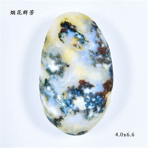 烟花群芳 两岸赏石网