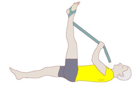 Trigger Points And The Cramping Hamstring Integrative Works