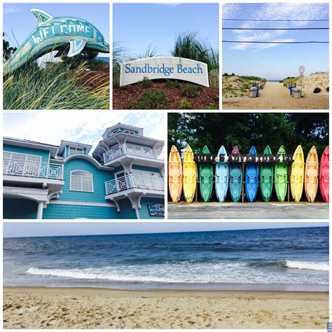 The Best Beaches In Virginia Beach The Daily Runner