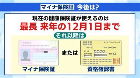 今の健康保険証が使えるのは最長2025年12月1日まで マイナ保険証へ移行 マイナカードに紐づけ？資格確認書を取得？期限が切れる前にすべきこと｜fnnプライムオンライン