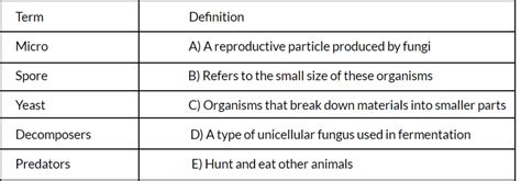 Worksheet Microorganisms Igcse Cambridge Science For Year 6 Class 6 Pdf Download