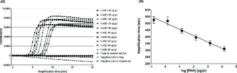 Limit Of Detection Of The Lamp Assay A Typical Amplification Curves