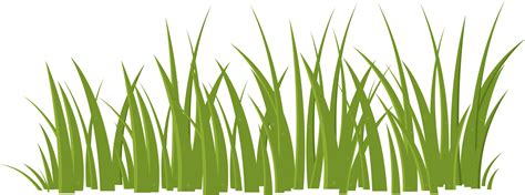 Cartoon Grass Leaves Clip Art 21612253 Png