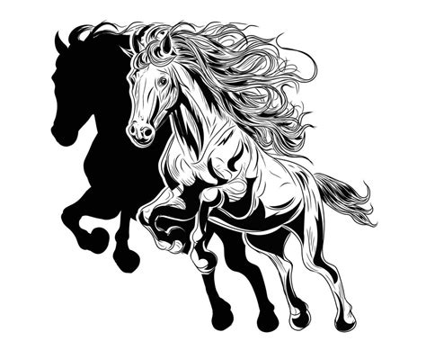 Stallion Sillouette Isolated 58498185 Vector Art At Vecteezy