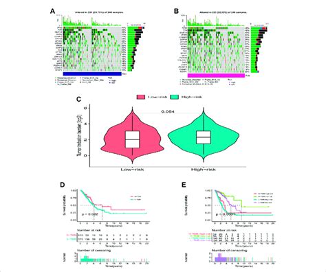 Tmb Analysis Ab The Waterfall Plot Of Somatic Mutation Features