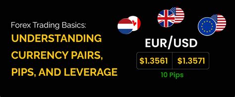 Forex Trading Basics Understanding Currency Pairs Pips And Leverage