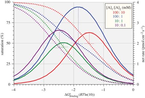 Facilitated Diffusion Graph