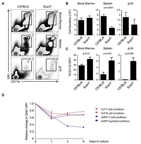 Zbtb1 Prevents Default Myeloid Differentiation Of Lymphoid Primed Multipotent Progenitors