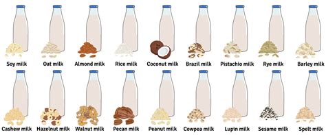 Plant Based Milks Gain Prominence Among Us Consumers But Nutritional