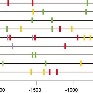 Cis Element Analysis In The Promoters Of CsGRFs Cis Regulatory Download Scientific Diagram
