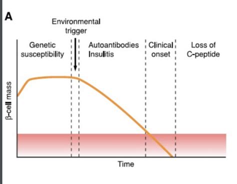 DM Clinical Med Flashcards Quizlet