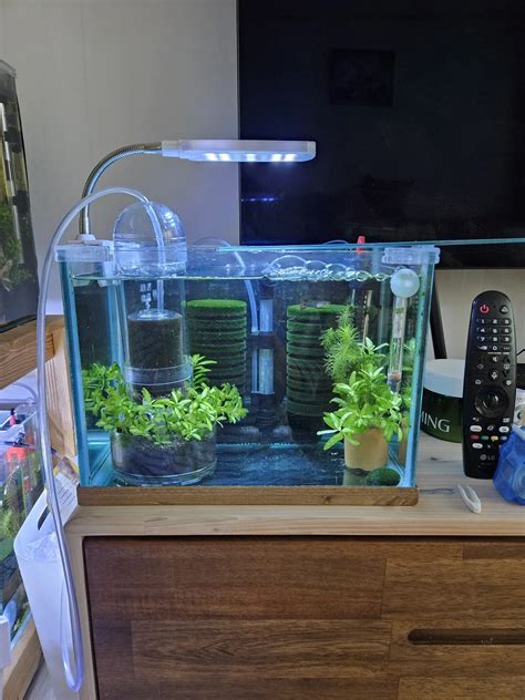 어항 히터 조명 수초 온도계 판매해요 당근 중고거래