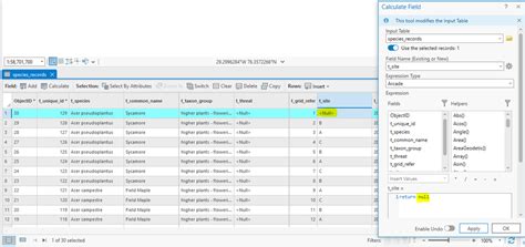 How To Return Null In Arcade With Calculate Field Page 3 Esri Community