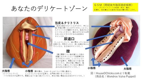 かわいいデリケートゾーン説明画像作ってみましたー関口由紀のブログー 女性医療クリニックlunaのblog