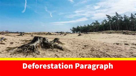 Tree Plantation Paragraph 150 250 300 Words Class 6 12 Paragraphs BD