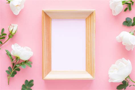 파스텔 핑크 배경에 녹색 아름 다운 신선한 흰 장미 나뭇잎 빈 사진 프레임입니다 긍정적인 아이디어에 대 한 이랑입니다 영감 감정