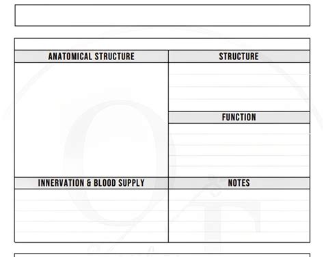 Anatomy Notes Anatomy Prints Clinical Notes Revision Notes Anatomy Anatomy Ts Single