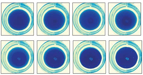 Mit Dataset Helps Predict Biodegradable Polyesters Specialty Fabrics Review