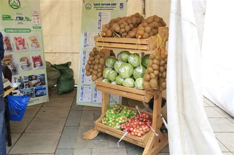 ХҮЛЭМЖИЙН ТАРИАЛАН ЭРХЛЭГЧИД ИМПОРТЫГ ОРЛОХ НАРИЙН НОГООНЫ ЧАНАР