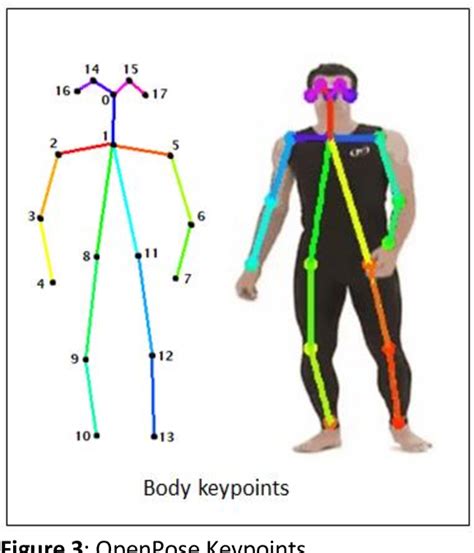 Figure From Human Activity Recognition Using Pose Estimation And Machine Learning Algorithm