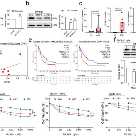 Cnn Based Detection And Multimodal Imaging Of Gem Labelled Proteins A Download Scientific