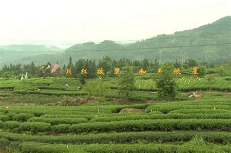 走进川红故里体育助力乡村振兴 露营之家