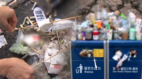 서울 쓰레기통 확 늘린다왜 길거리 쓰레기 찾아보니 보니보니