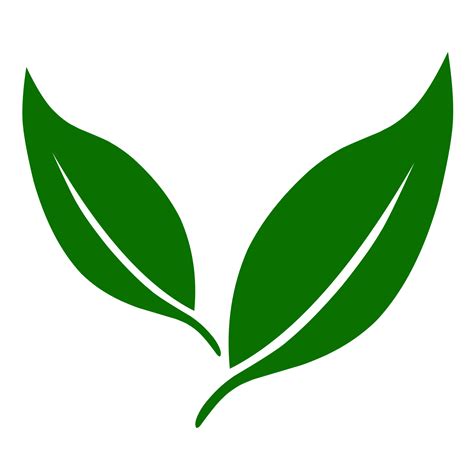 Apta Leaf Png