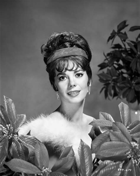 Natalie Wood🎄 1962 Natalie Wood Christmas Natalie Wood Poster