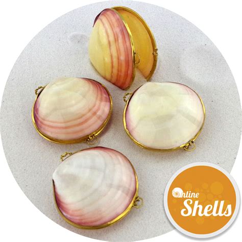 Download Clam Shell Purses Display