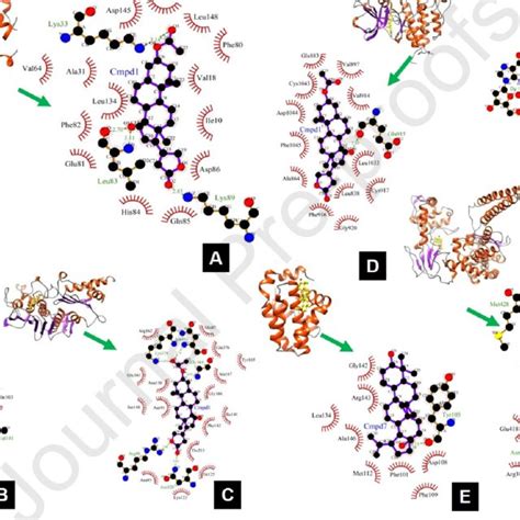 Applicability Domain For The Developed Classification Model