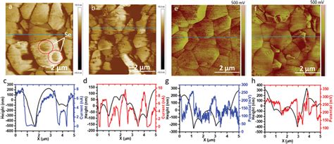 C‐afm And Kpfm Analysis Of The Sb2se3 Films Ae Without And Bf With