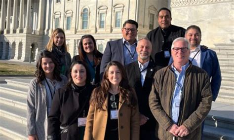 Introducing Bold Class 3 Hass Avocado Board