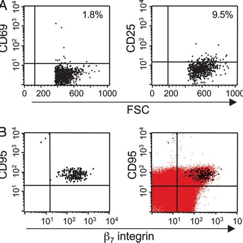 Differentiation Stage Of Gluten Specific T Cells A Cd45ra And